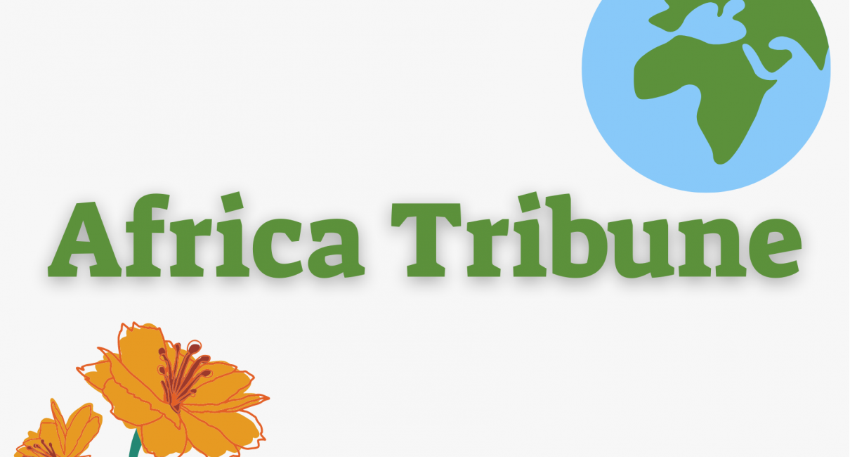 Africa Tribune | On entrepreneurship, business and development | The S ...